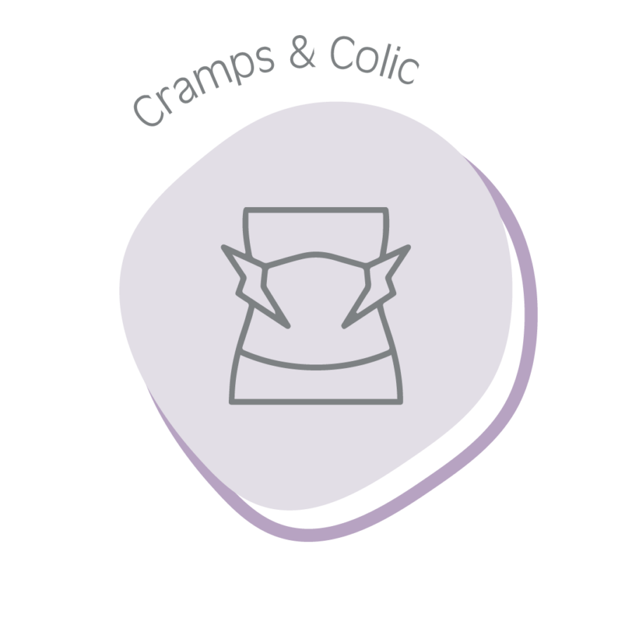 IBS/SIBO program | Dr. Fajer AlJumairi