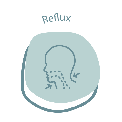 Reflux and gastritis protocol | Dr. Fajer AlJumairi