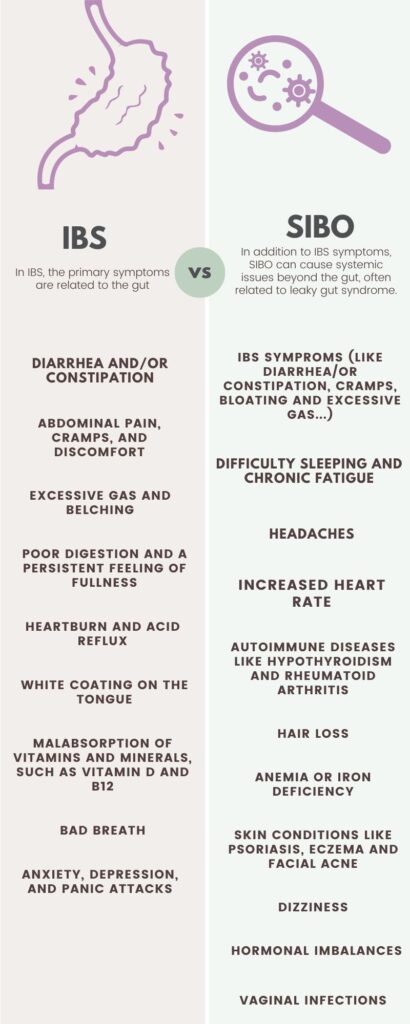 SIBO vs IBS: what is the main key difference? | Dr. Fajer AlJumairi