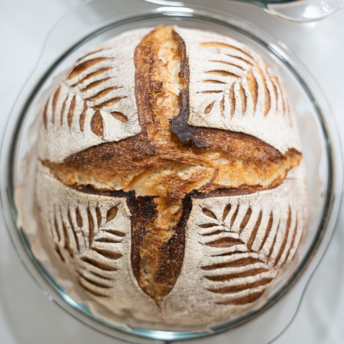 The Best Type of Bread to Support Digestive Healing: Sourdough Bread ...